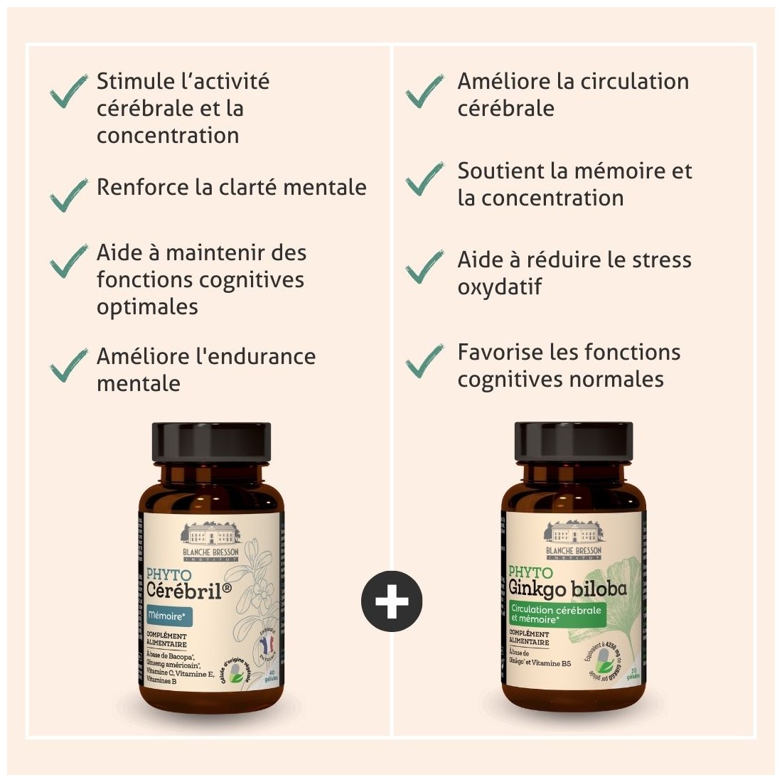 Programme Mémoire Plus | Blanche Bresson