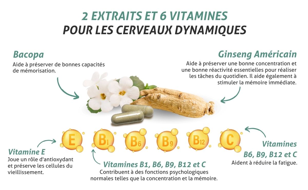 Phyto Cérébril® | Blanche Bresson