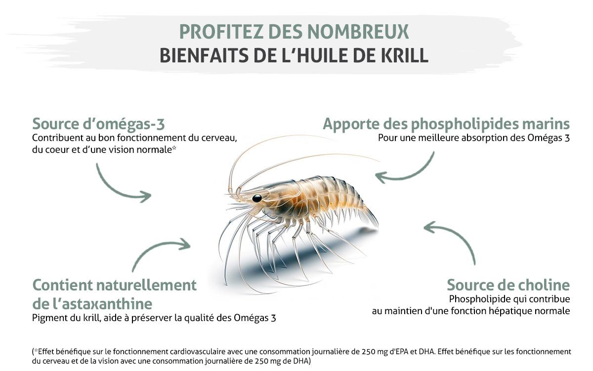 Huile de Krill | Blanche Bresson