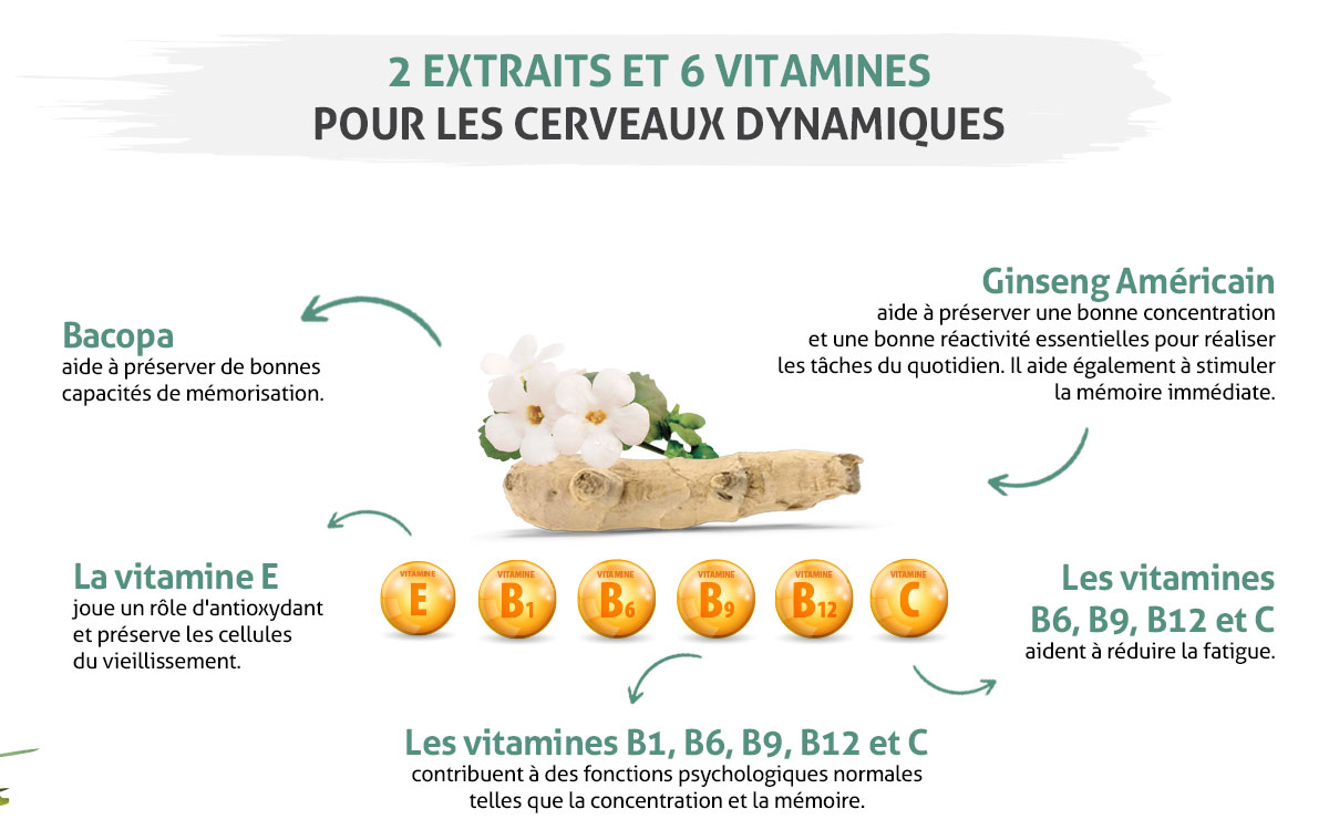 Phyto Cérébril® | Blanche Bresson