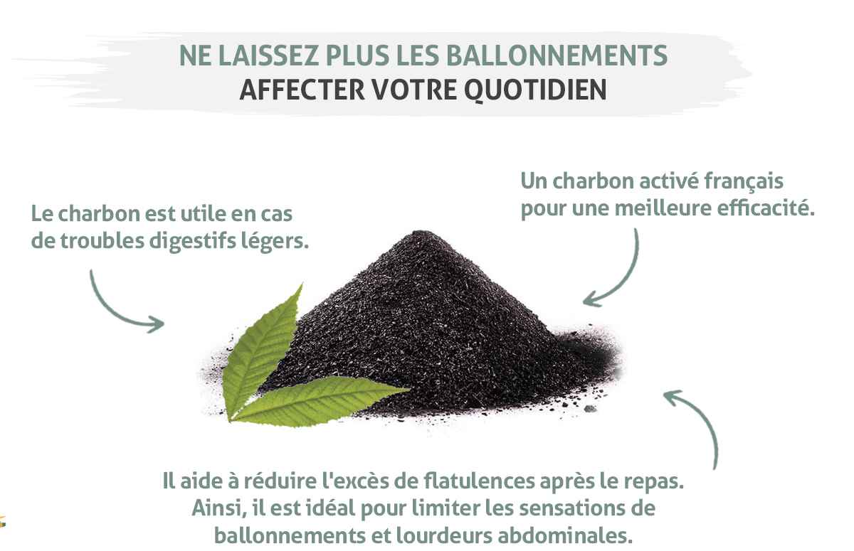 Charbon Végétal Activé 3000 – C’Est Quoi Le Charbon Végétal – OHZC