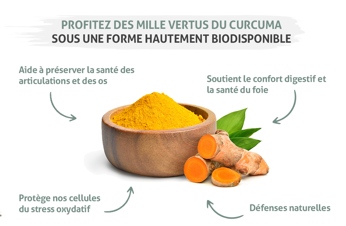 Phyto Curcuma Bio | Blanche Bresson